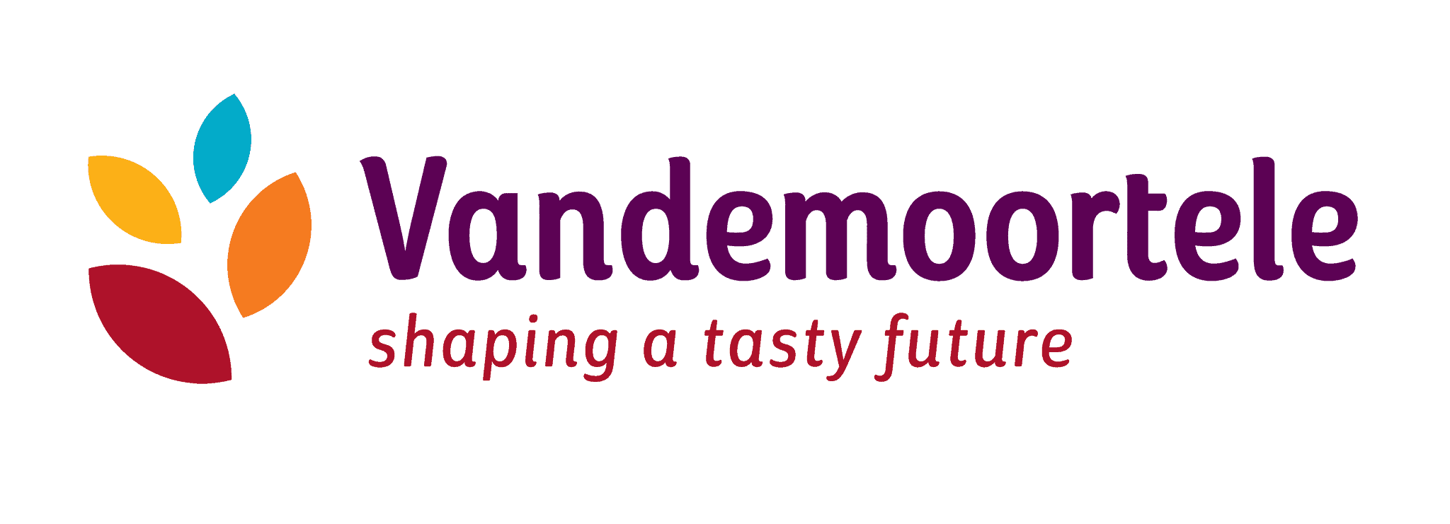 Next Level Concepts - Next Level Concepts